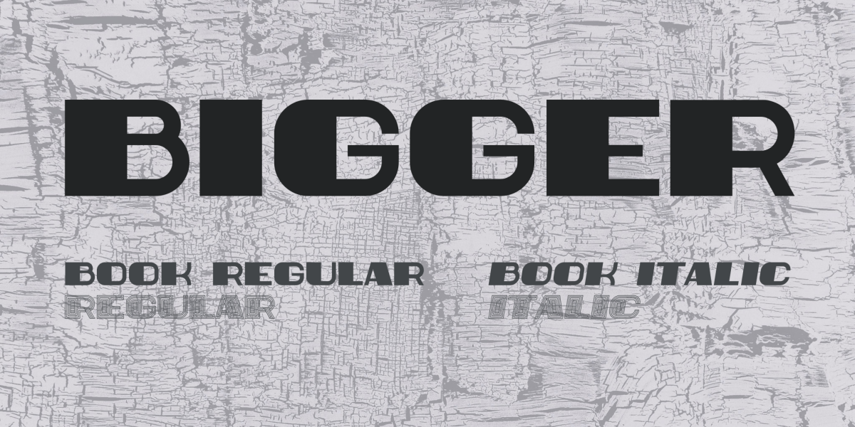 Bigger Font Family · 1001 Fonts