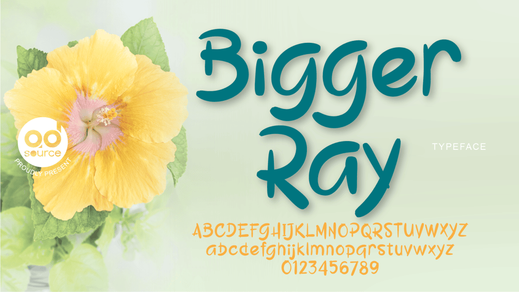 Bigger Ray Font Family · 1001 Fonts