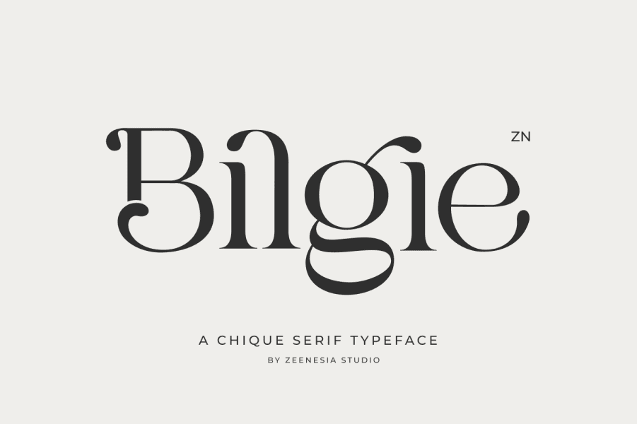 Bilgie Personal Use Only Font · 1001 Fonts