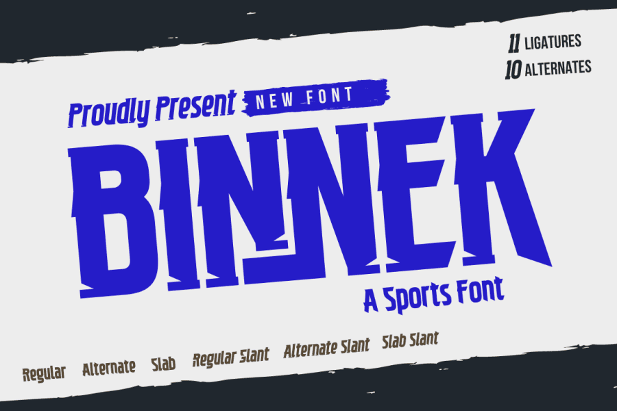 BINNEK Font Family · 1001 Fonts