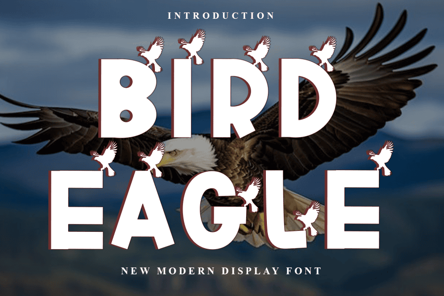 Bird Eagle Font · 1001 Fonts