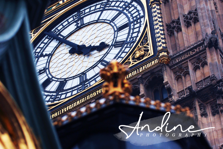Birmingham Signature Font Family · 1001 Fonts