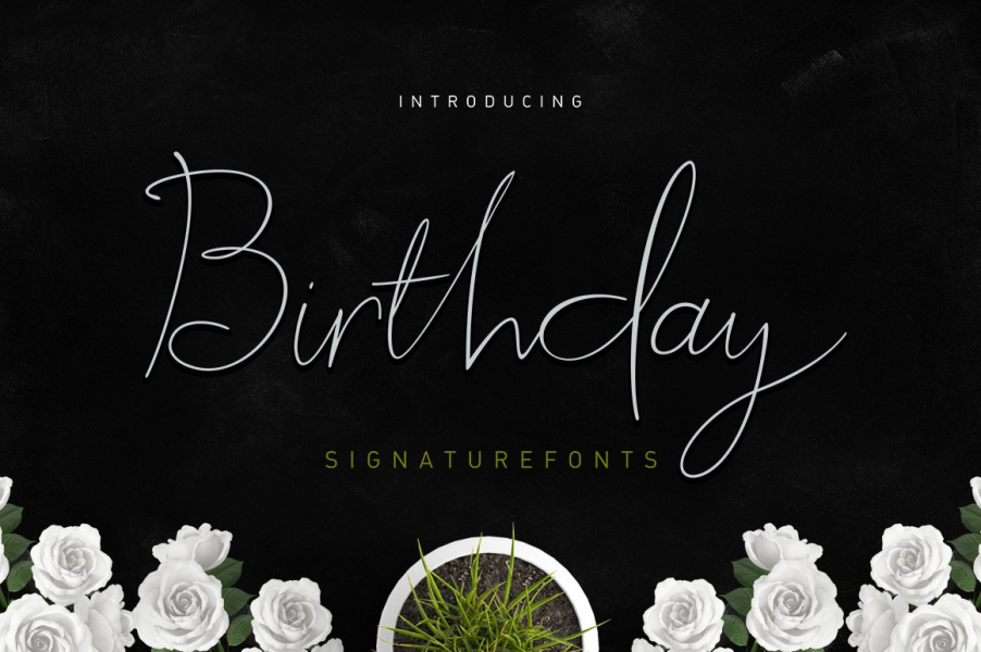 Birthday Script Font · 1001 Fonts