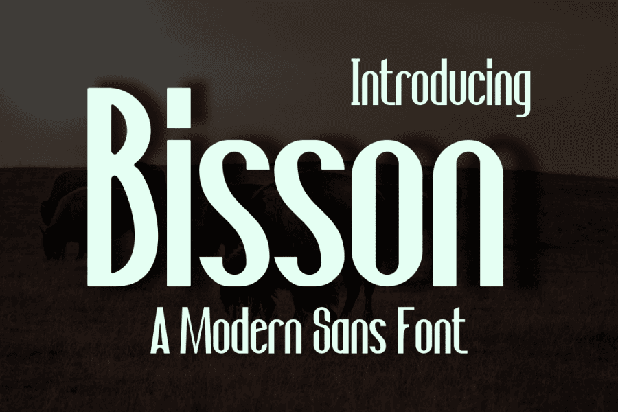Bisson Font · 1001 Fonts