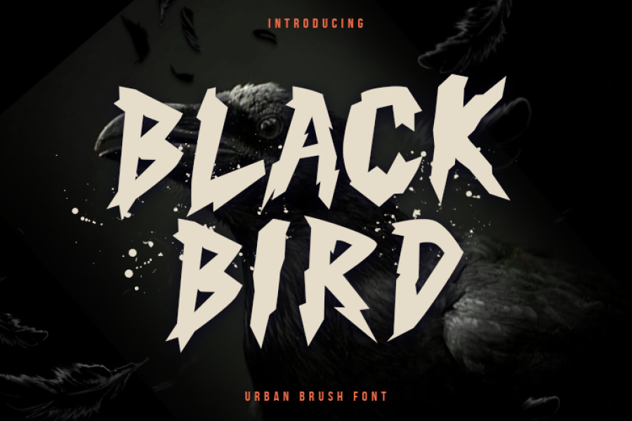 Black Bird Font · 1001 Fonts