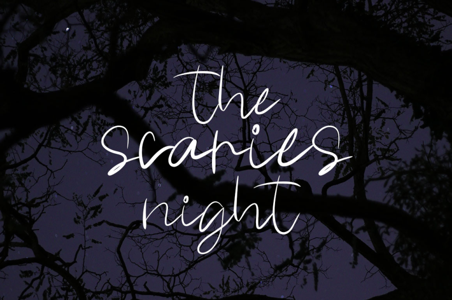 black mamba Font · 1001 Fonts