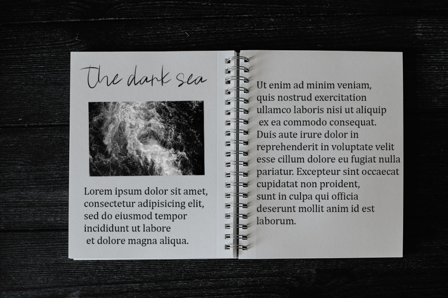 black mamba Font · 1001 Fonts