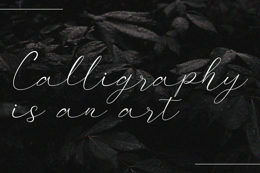 Blackink Signature Font · 1001 Fonts