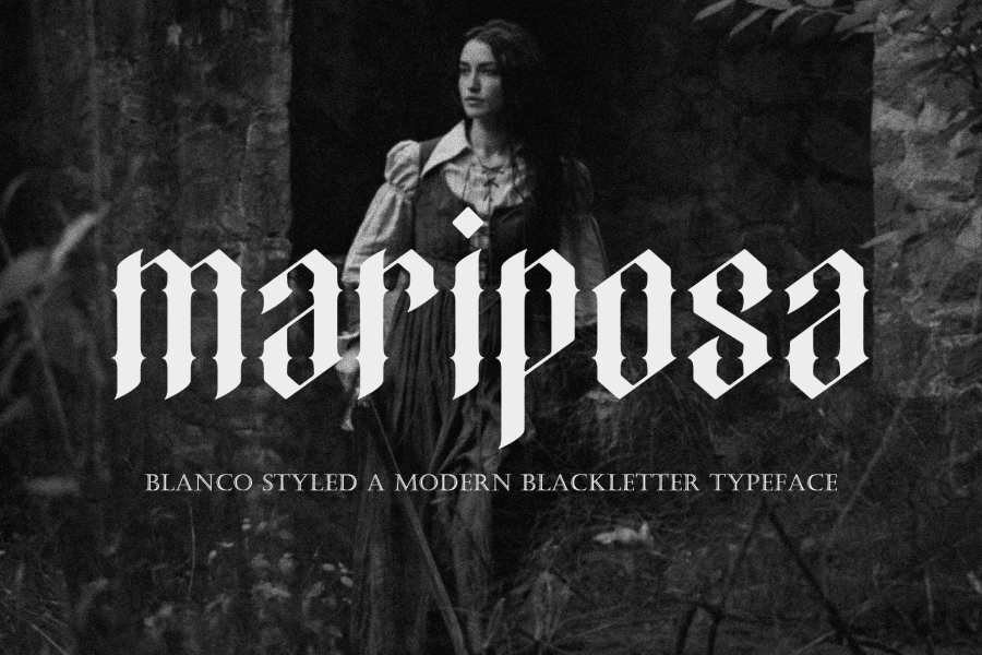 Blanco Styled Font · 1001 Fonts