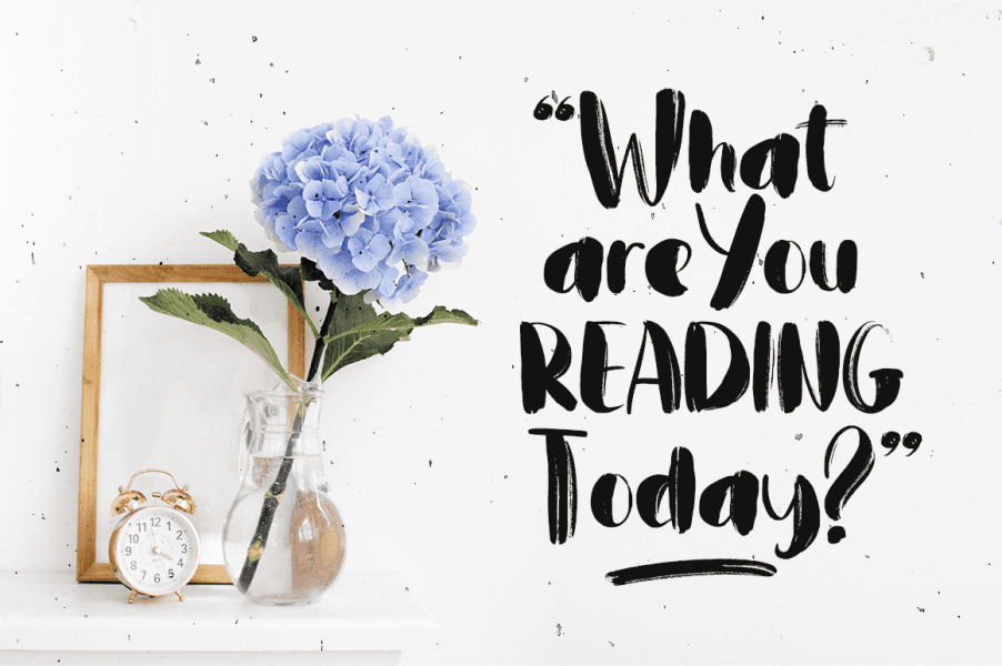 Blanday Font Family · 1001 Fonts