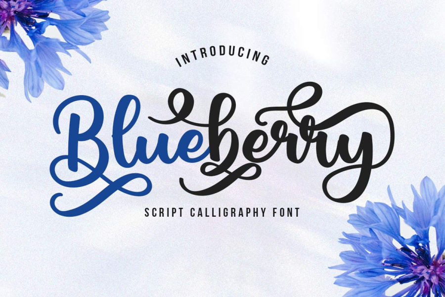Blueberry Demo Font · 1001 Fonts