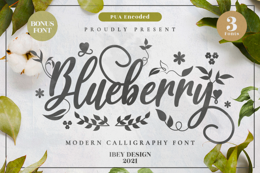 Blueberry Font · 1001 Fonts