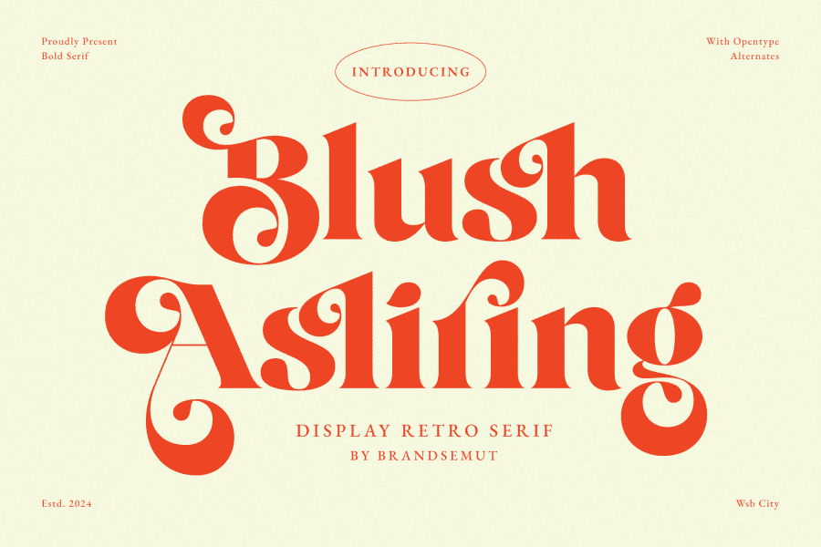 Blush Asliring Font · 1001 Fonts