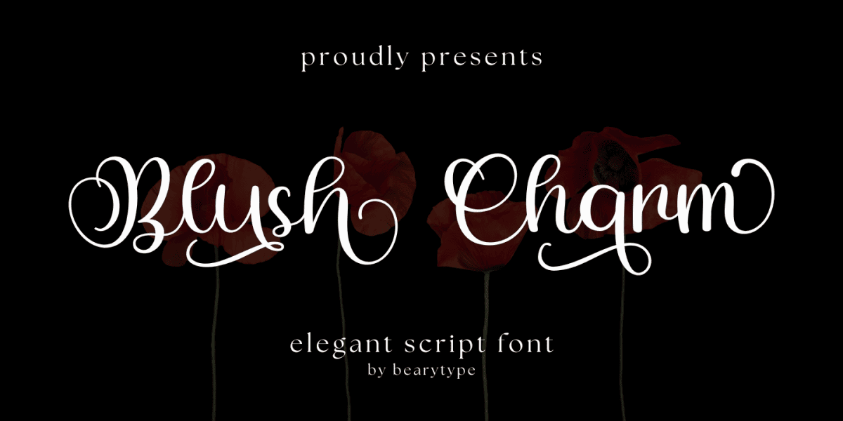 Blush Charm Font · 1001 Fonts