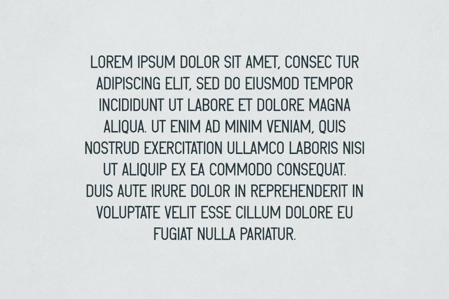 Bodhi Font · 1001 Fonts