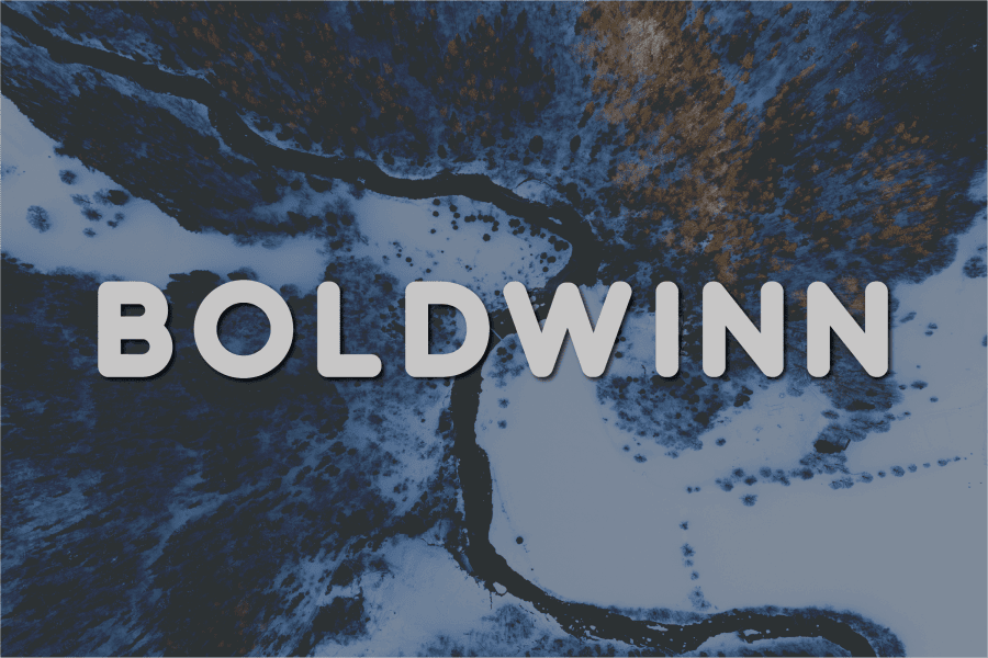 Boldwinn Font · 1001 Fonts