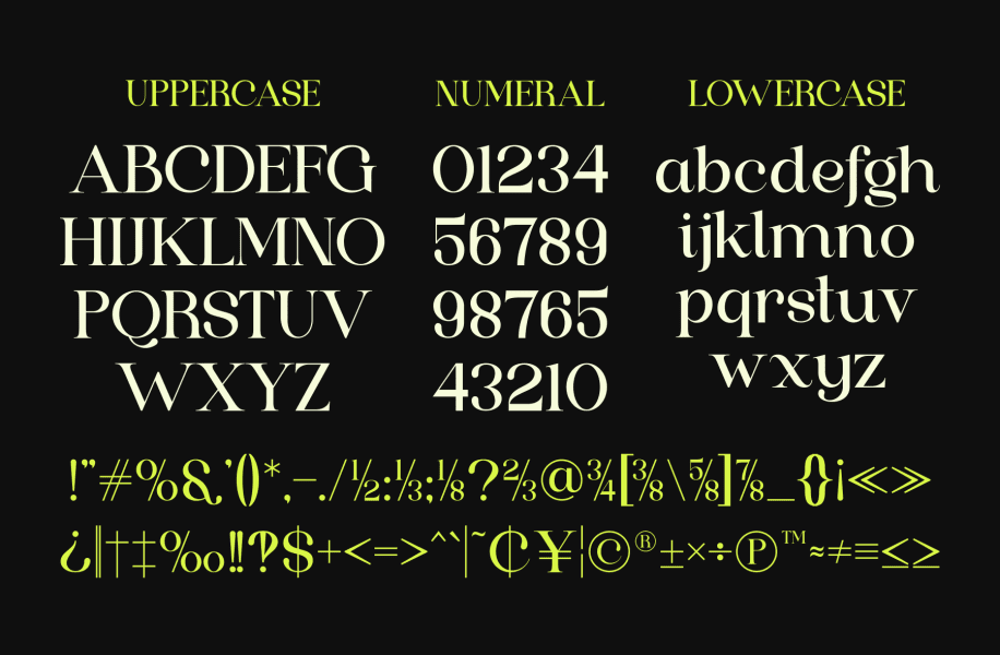 Boniro Font · 1001 Fonts