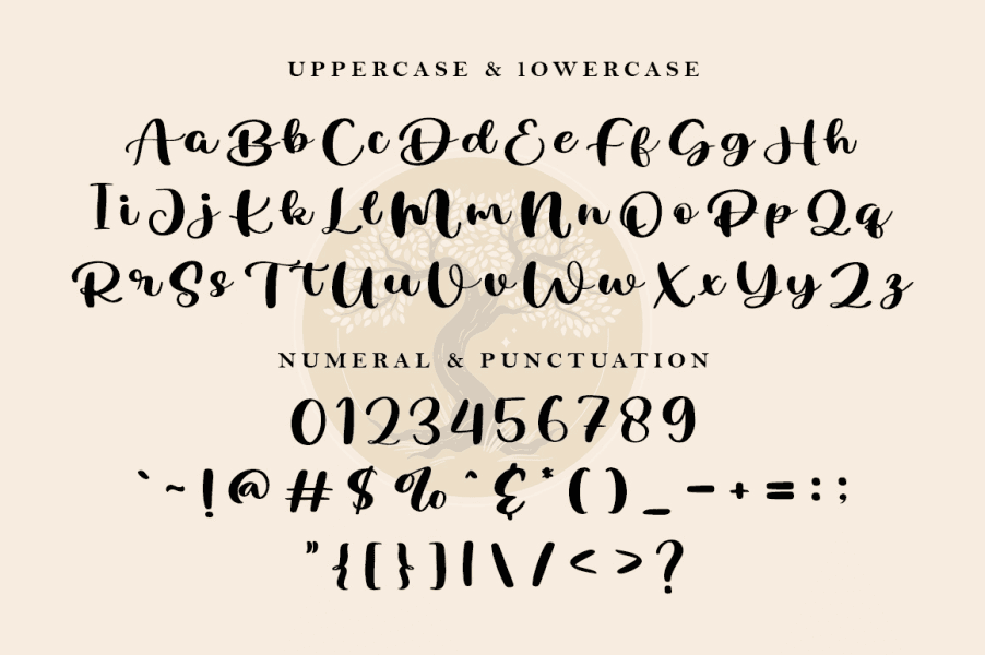 Bonsai Font · 1001 Fonts