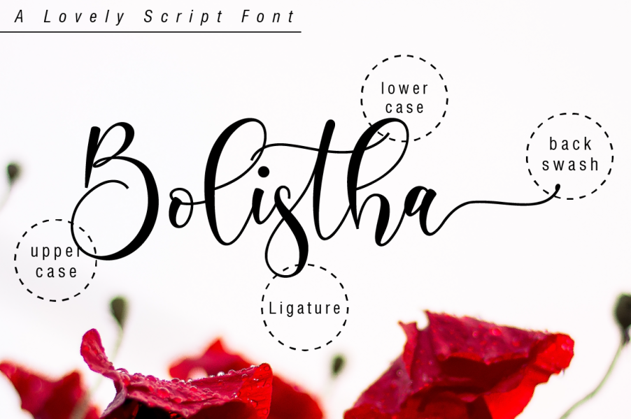Boshela Font · 1001 Fonts
