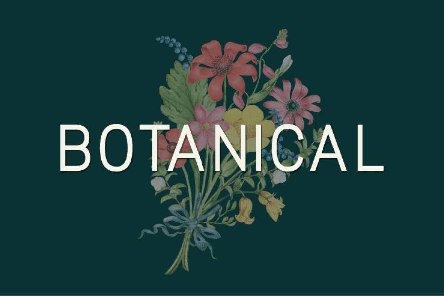 Botanical Font · 1001 Fonts
