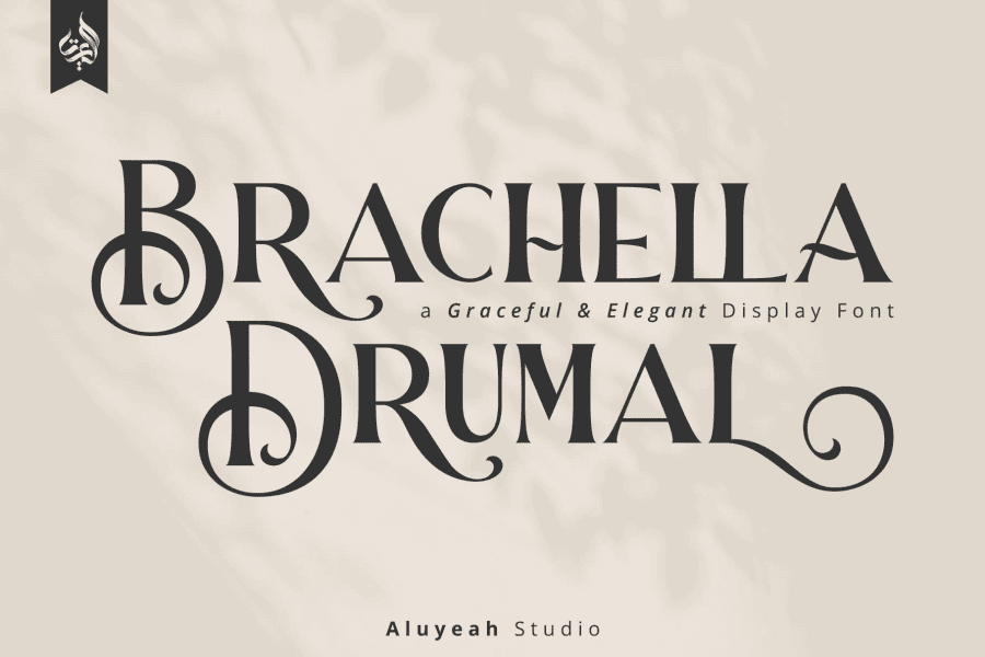 2 Free Calligraphy, Illustrator Fonts · 1001 Fonts