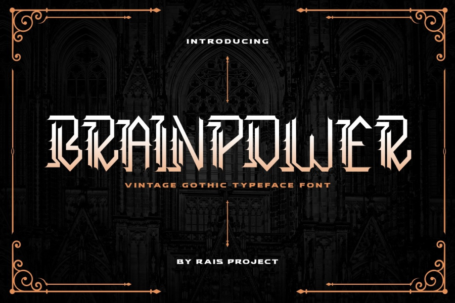 Brainpower Demo Font Family · 1001 Fonts