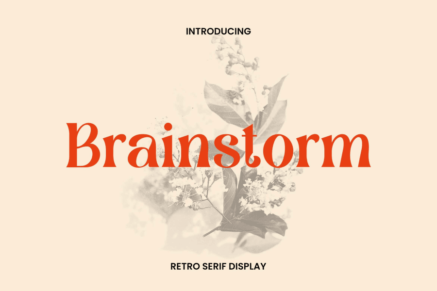 Brainstorm Font · 1001 Fonts