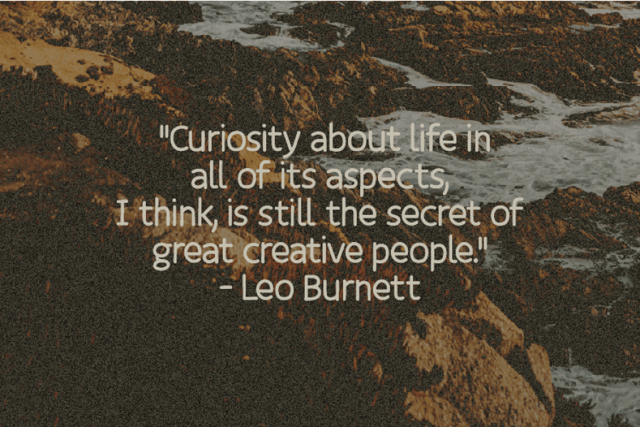 Branch Font · 1001 Fonts