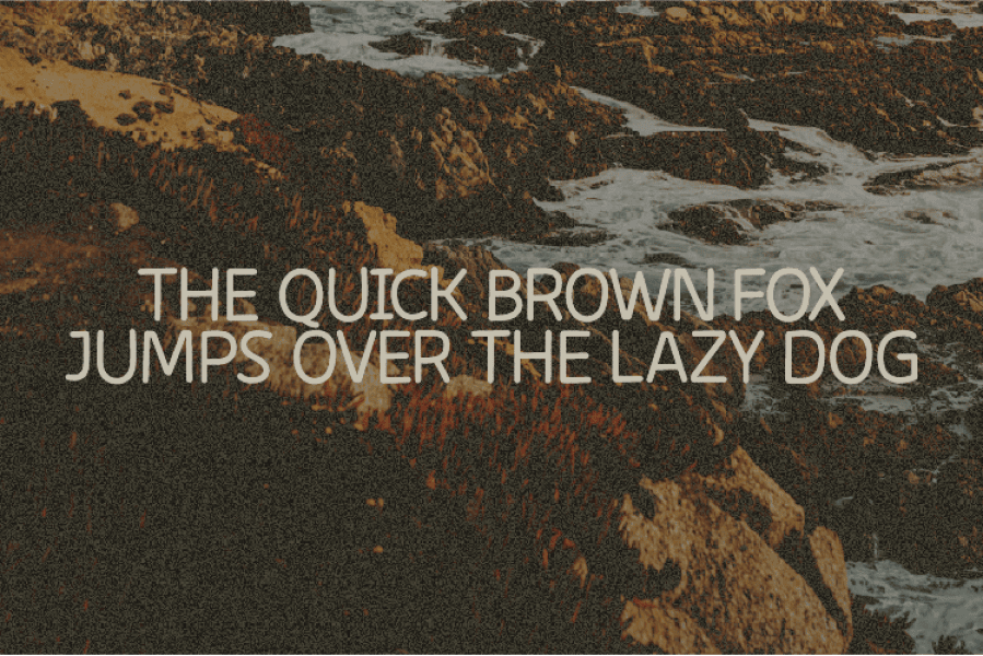 Branch Font · 1001 Fonts