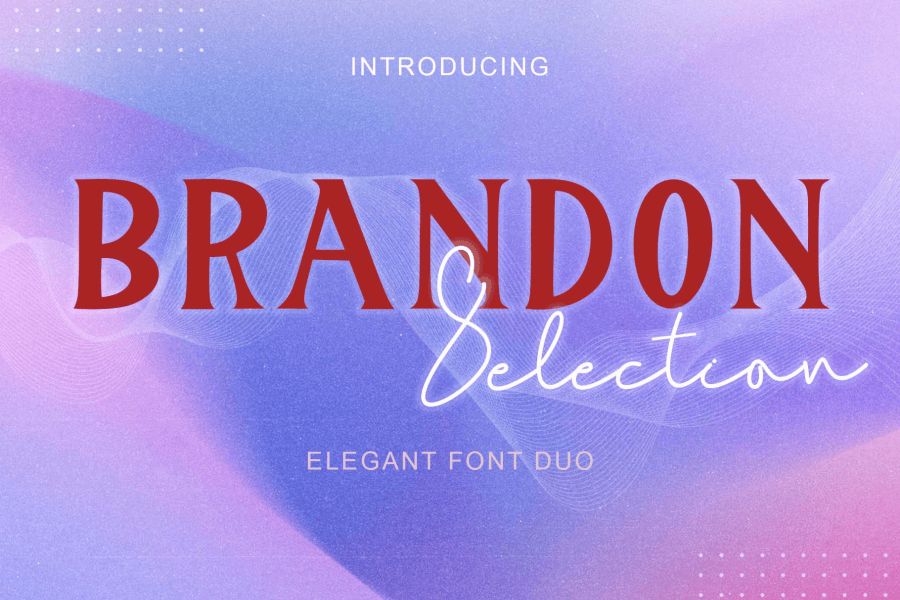 Brandon Selection Font Family · 1001 Fonts