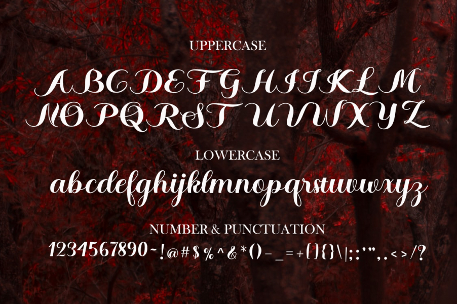 Braylen Font · 1001 Fonts