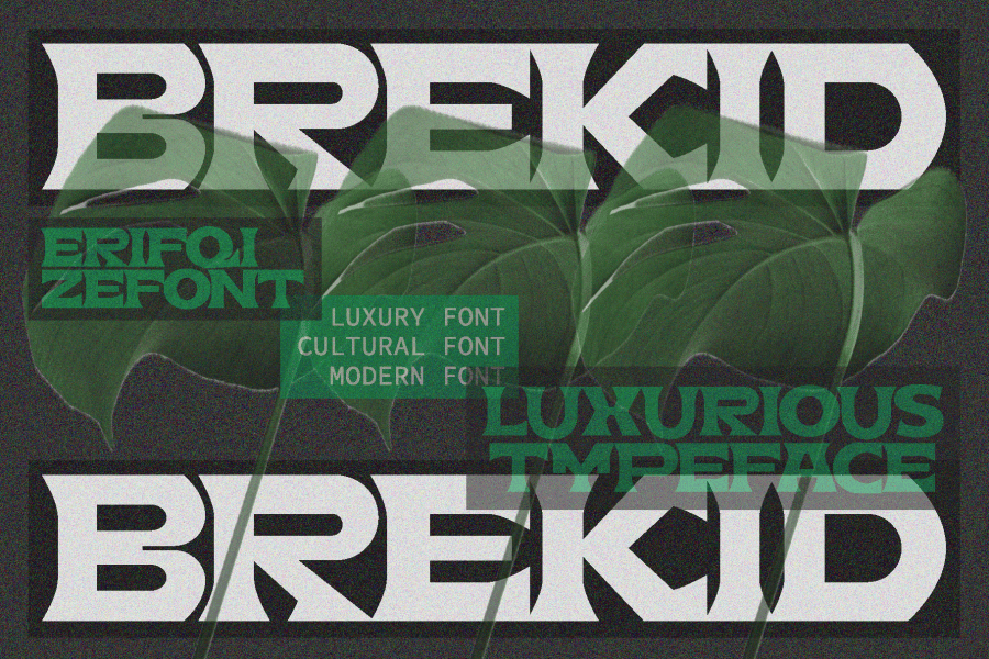 2 Free Fashionbranding, Upscale Fonts · 1001 Fonts