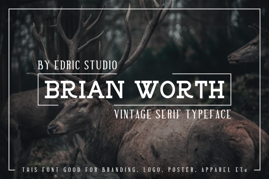 BRIAN WORTH DEMO Font Family · 1001 Fonts