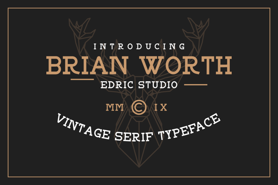 BRIAN WORTH DEMO Font Family · 1001 Fonts