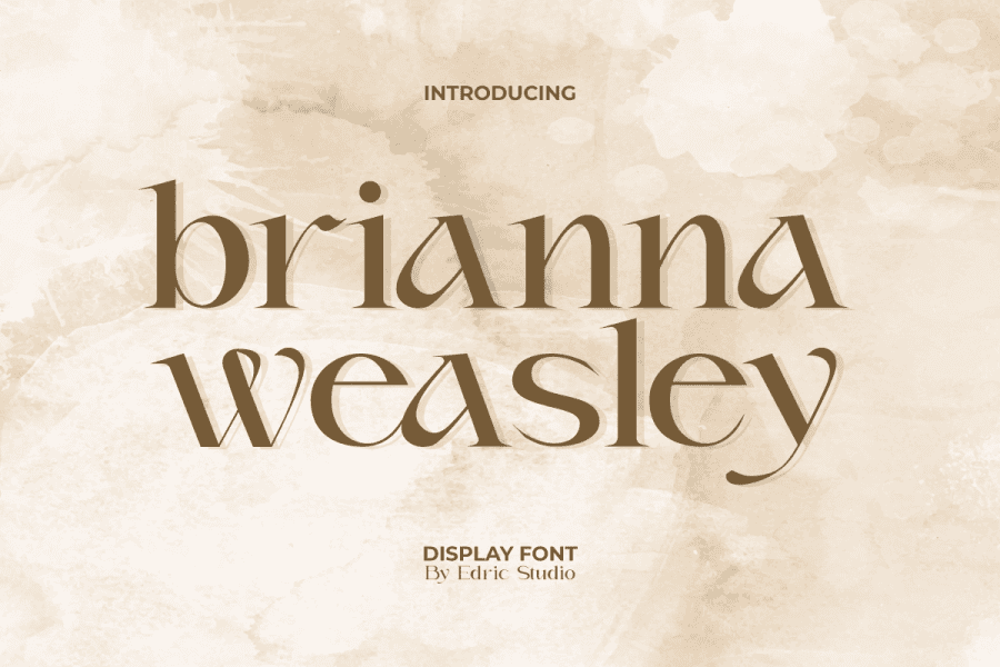Brianna Weasley Demo Font · 1001 Fonts