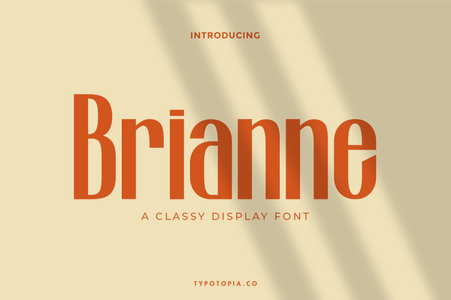 Brianne Font · 1001 Fonts