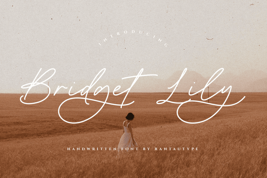 Bridget Lily Font · 1001 Fonts