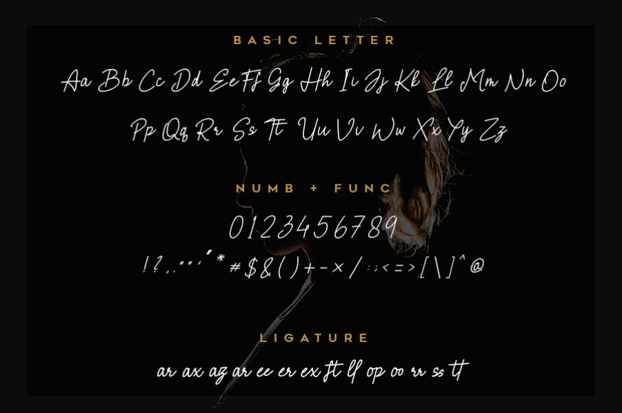 Brielle Font · 1001 Fonts