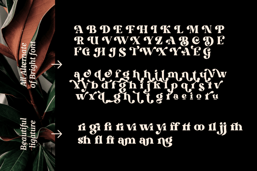 Bright DEMO Font · 1001 Fonts