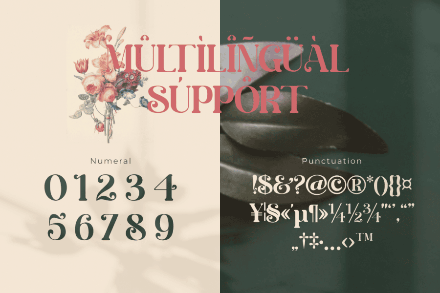 Bright Vintage Font · 1001 Fonts