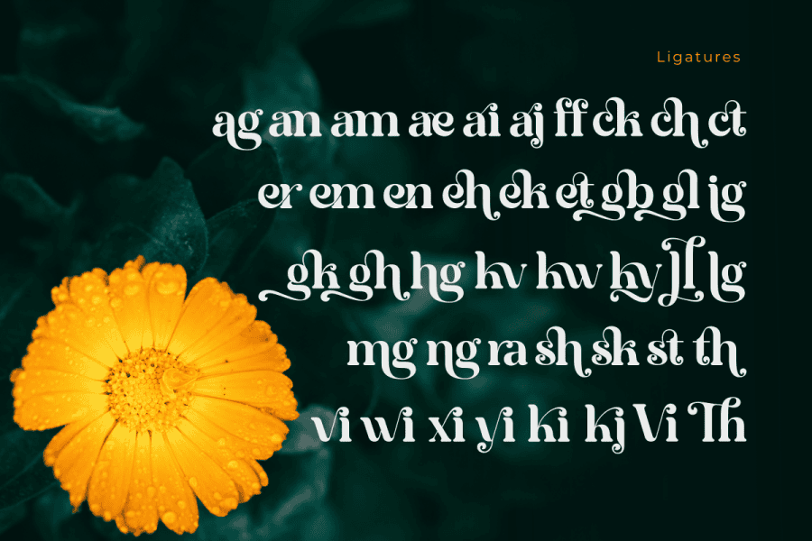 Bright Vintage Font · 1001 Fonts