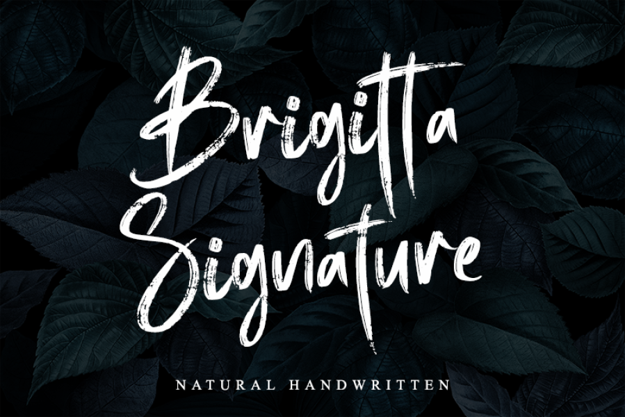 Brigitta Signature - Personal u Font · 1001 Fonts