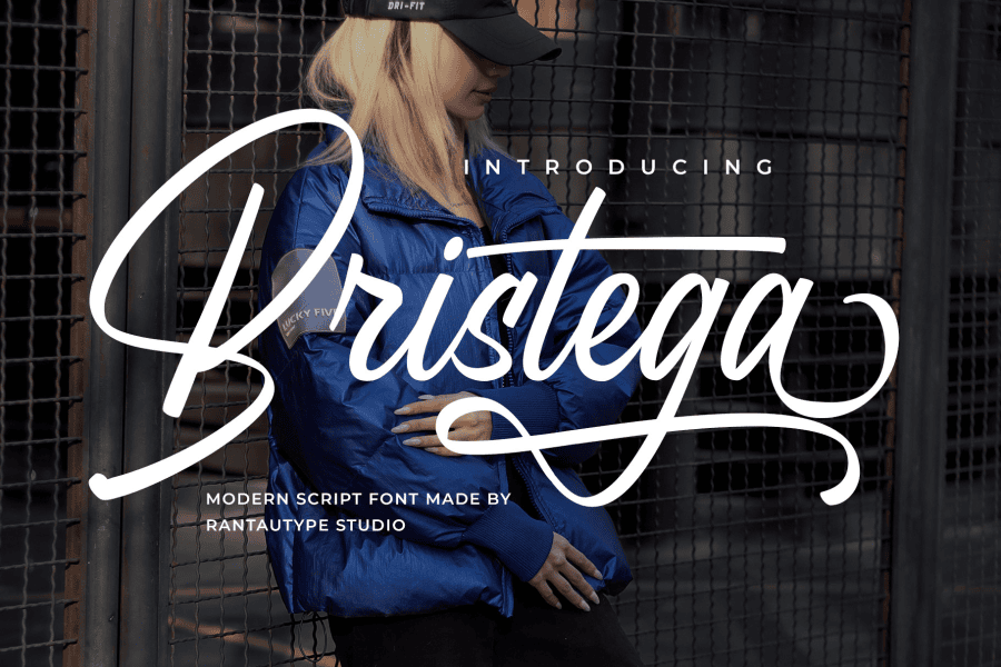 Bristega Font · 1001 Fonts
