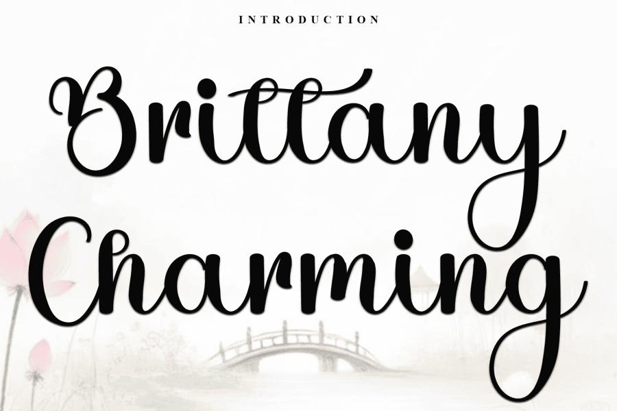 Brittany Charming Font · 1001 Fonts