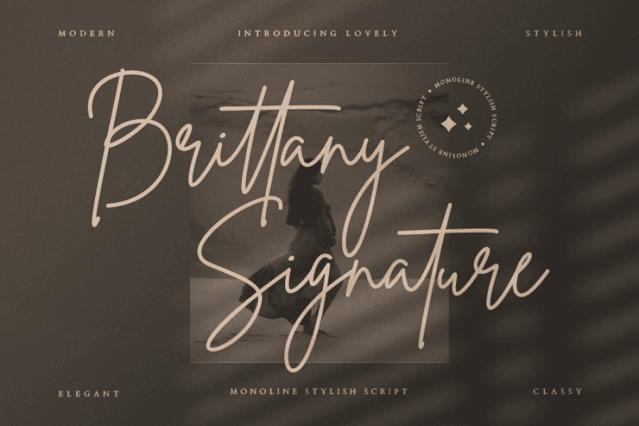 Brittany Signature Script Font · 1001 Fonts