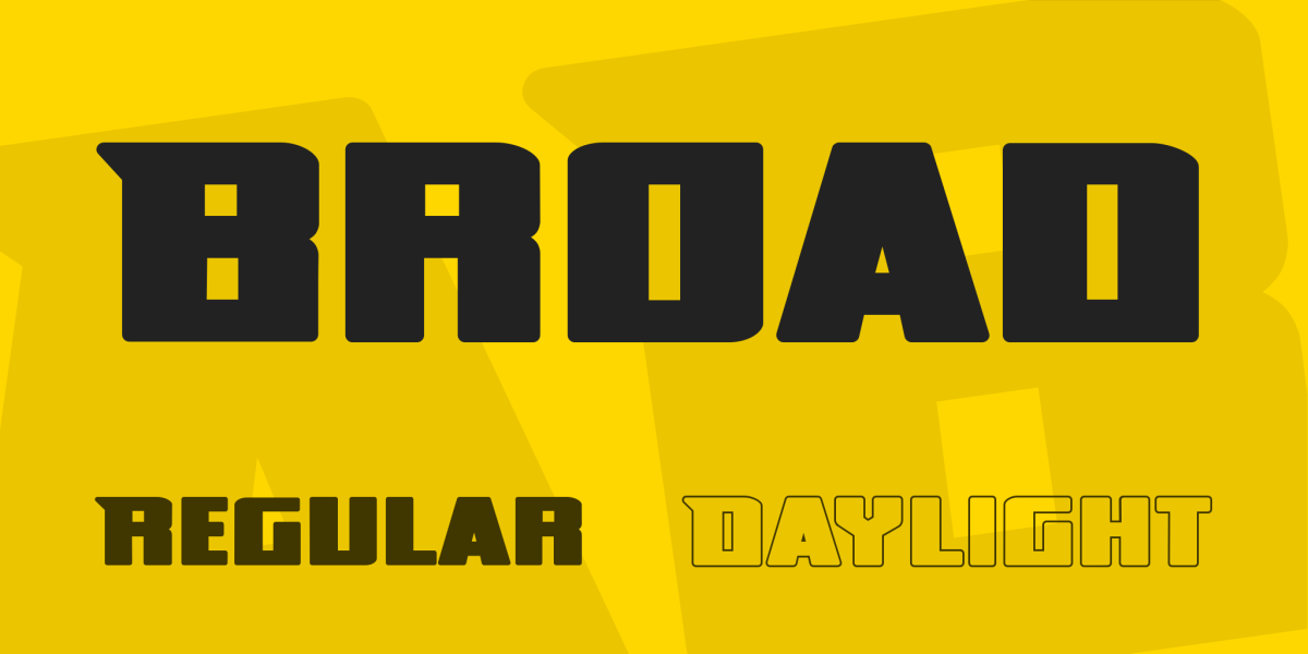 Broad Font Family · 1001 Fonts