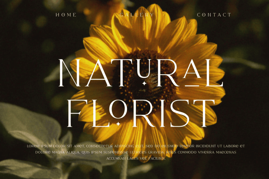 Brolia Font · 1001 Fonts