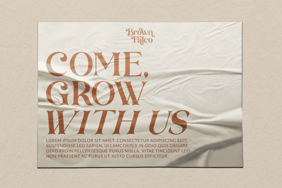 Brown Falco Font Family · 1001 Fonts