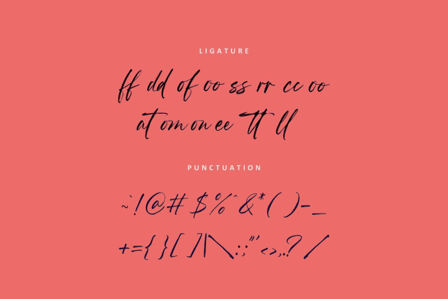 Brush Sinergi Font · 1001 Fonts