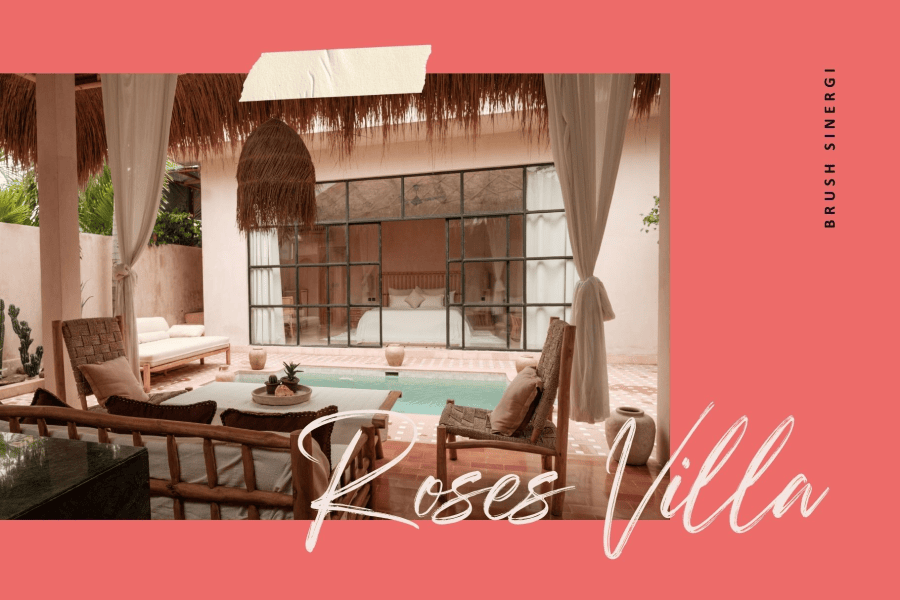 Brush Sinergi Font · 1001 Fonts